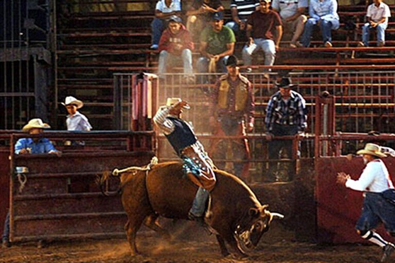 Rodeo Shows at Corona Ranch